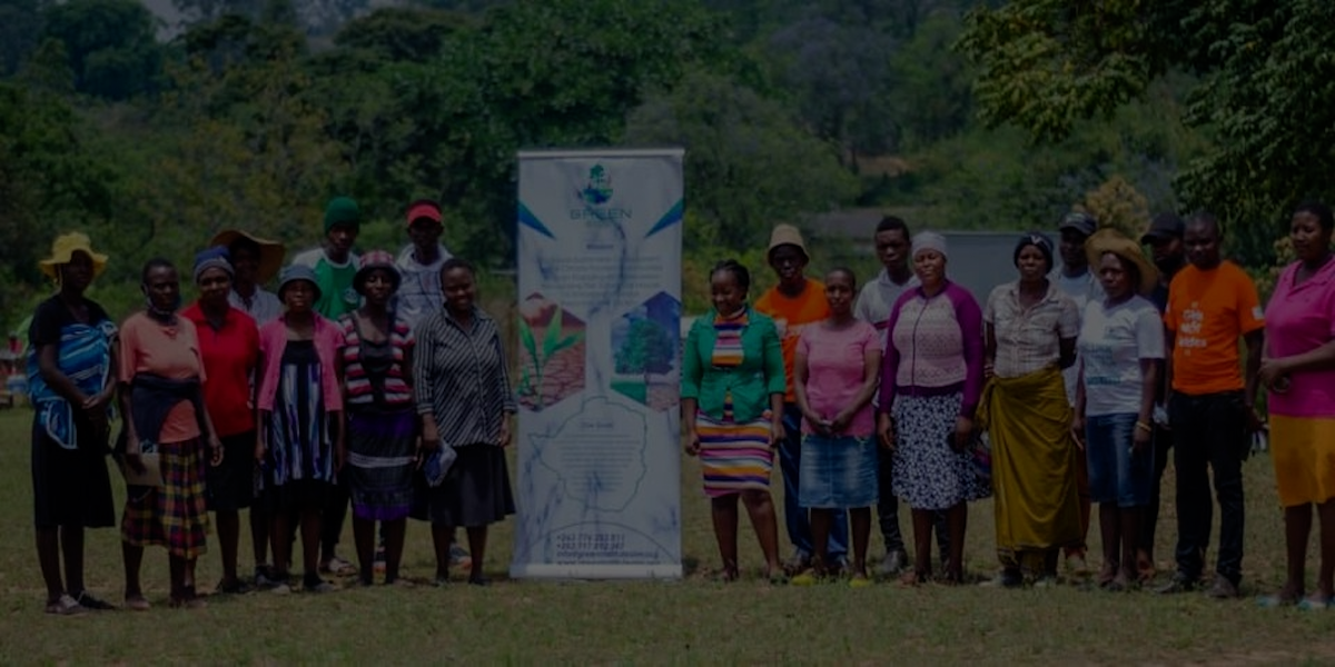 Green Institute In Zimbabwe – We envision a climate change resilient ...