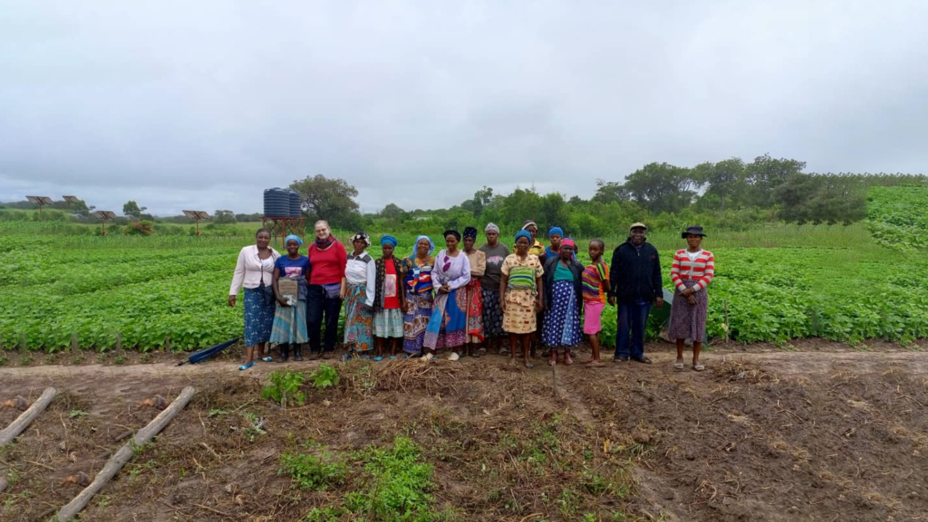 Green Institute In Zimbabwe – We envision a climate change resilient ...